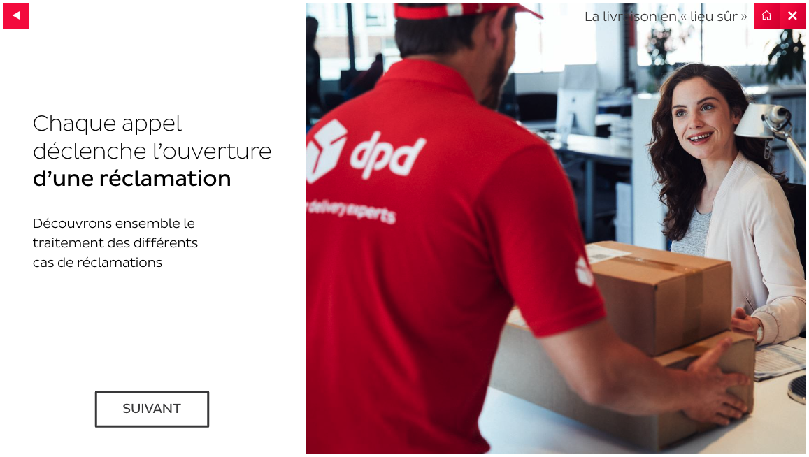 DPD France - L'inuit - Agence web et elearning